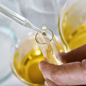 Hopsteiner | Your global hop supplier