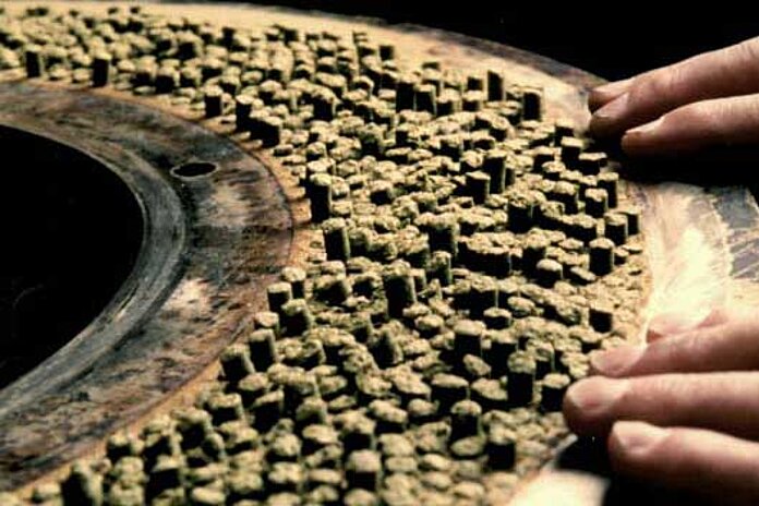 Hopsteiner | Since 1845